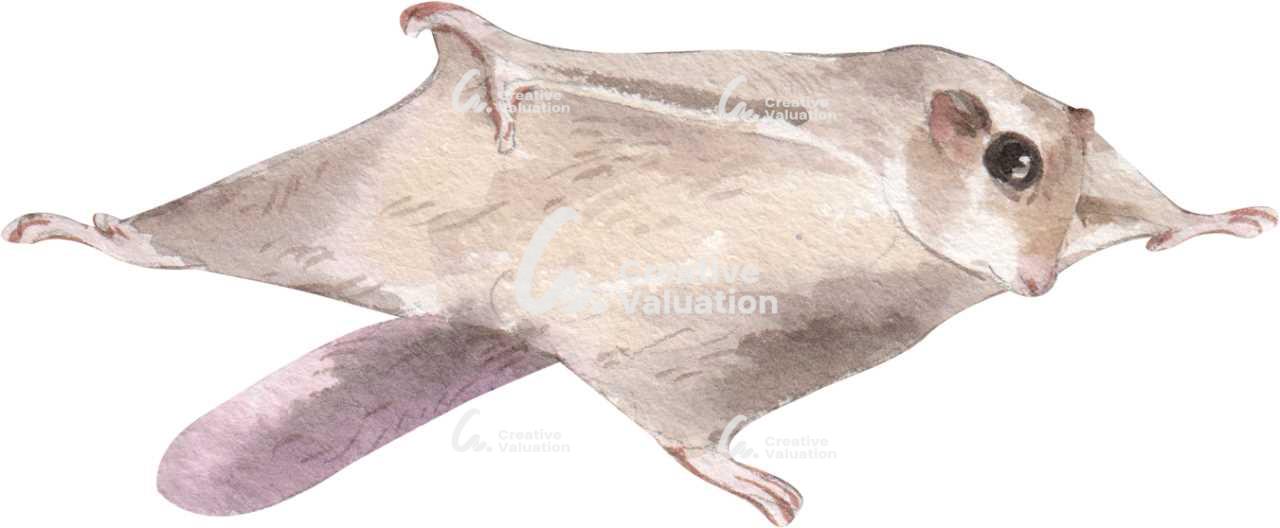 Adorable Sugar Glider aka Petaurus breviceps watercolor, walking side ...